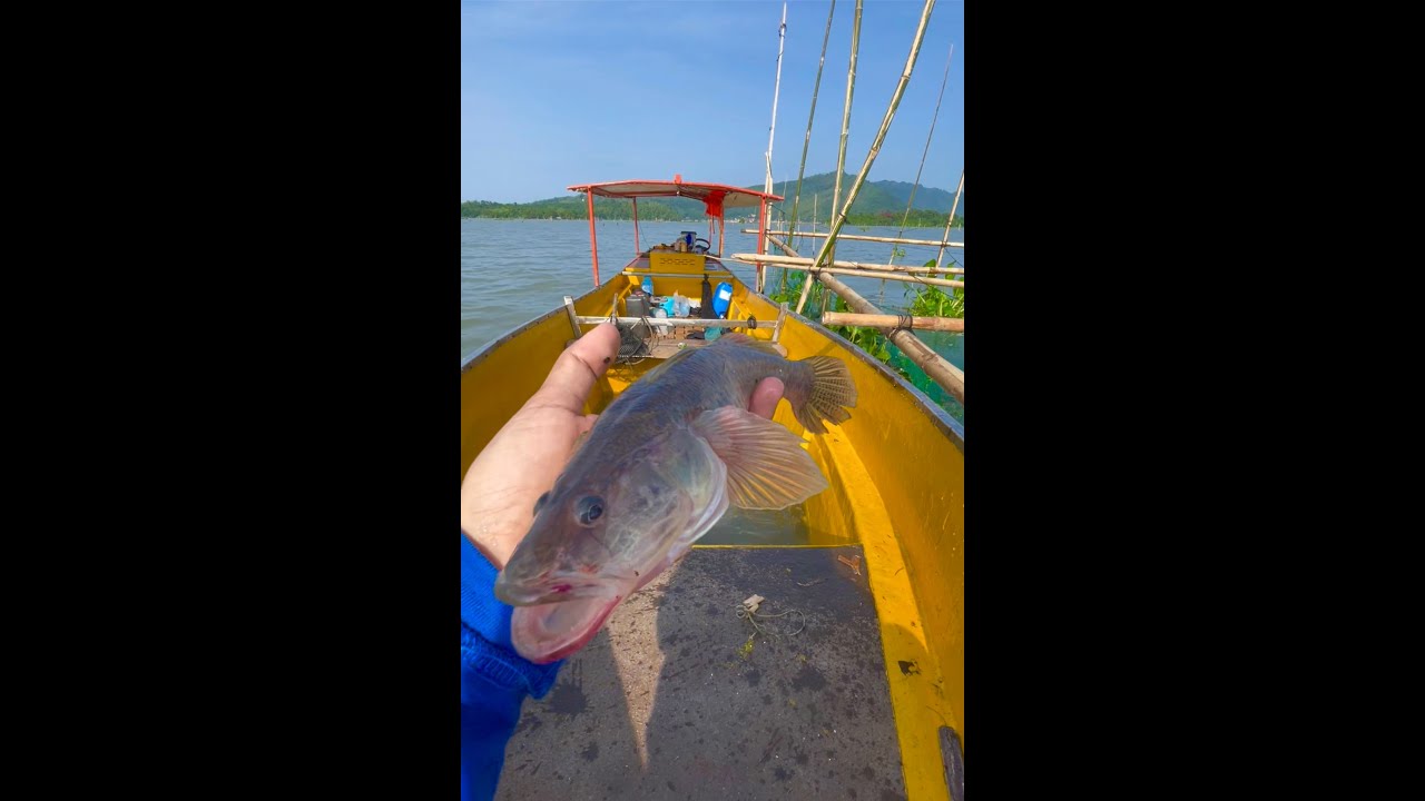 Nakahuli kami ng isa sa pinaka mahal na isda!Naibaon na ni buyok ang ...