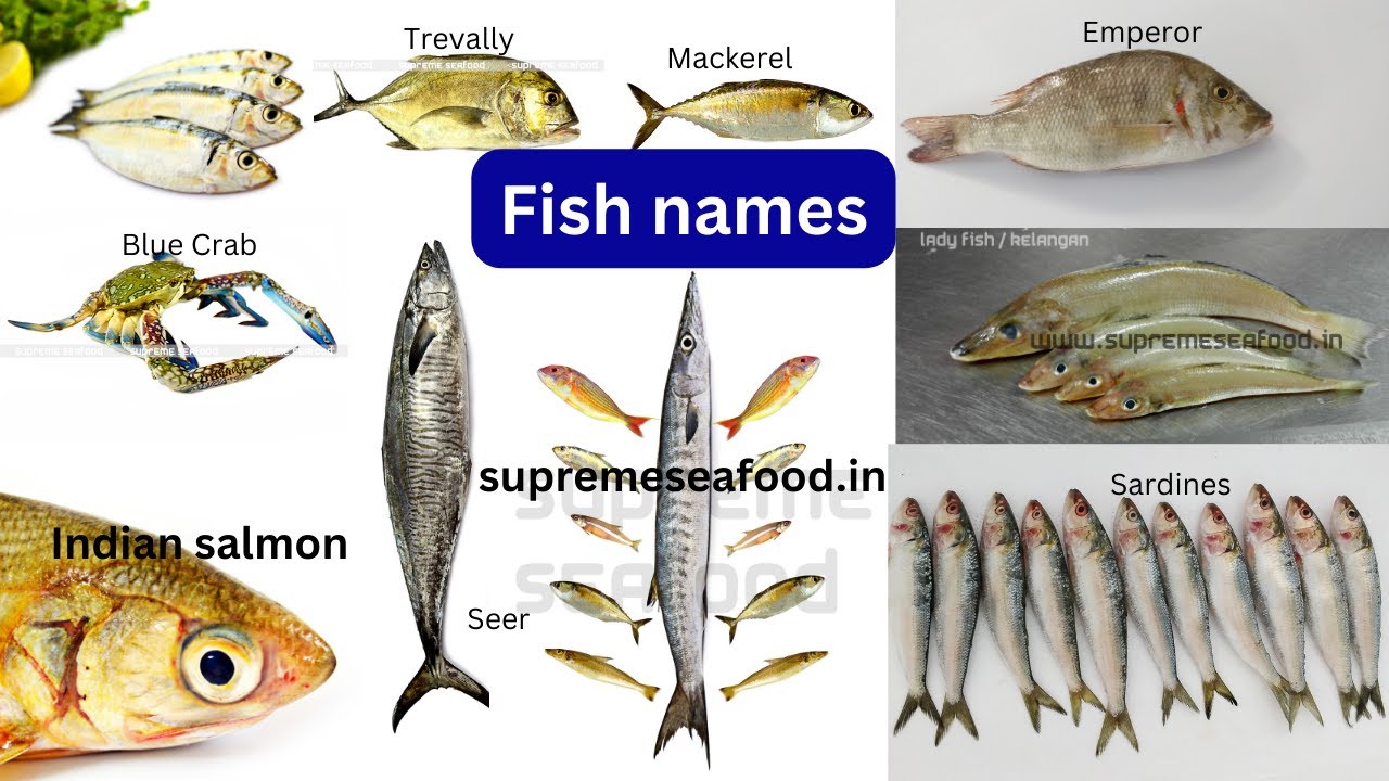 Online Fish Order Fish Names In English Many Varieties By Supreme online-fish-order-fish-names-in-english-many-varieties-by-supreme