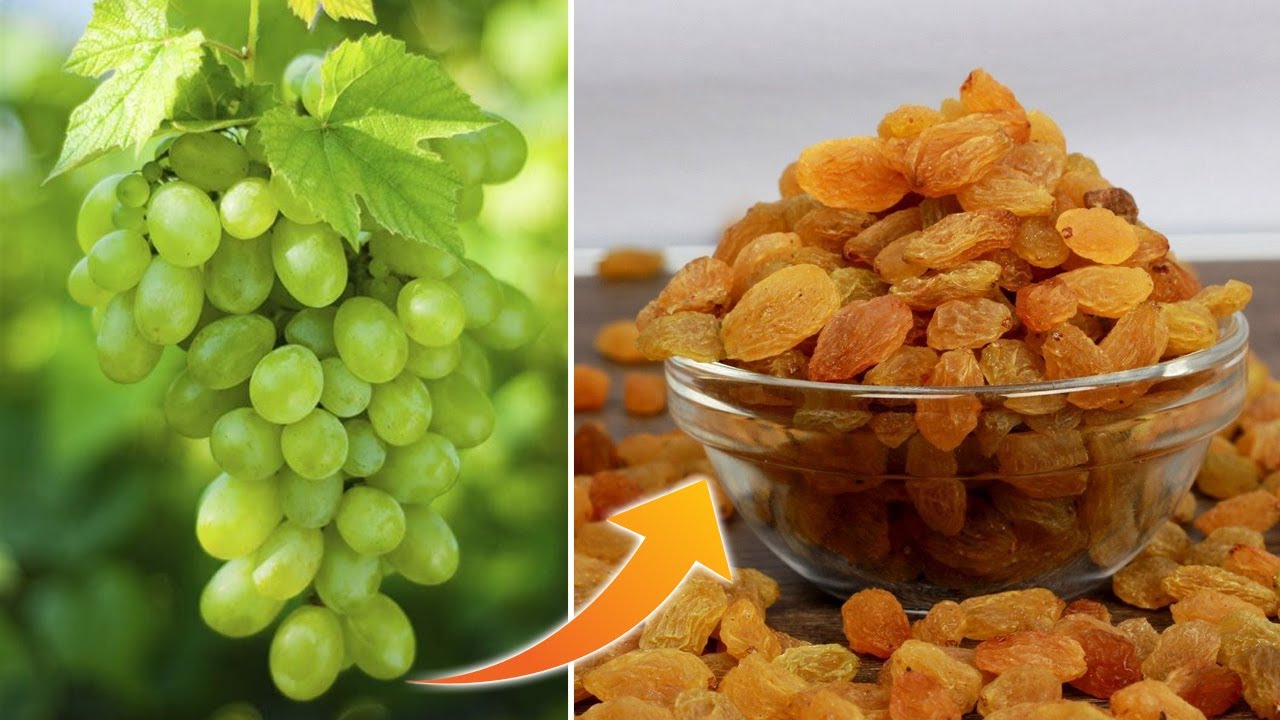 Homemade Kish mish | How To Make Raisins at Home | Dry Fruits Kish Mish ...