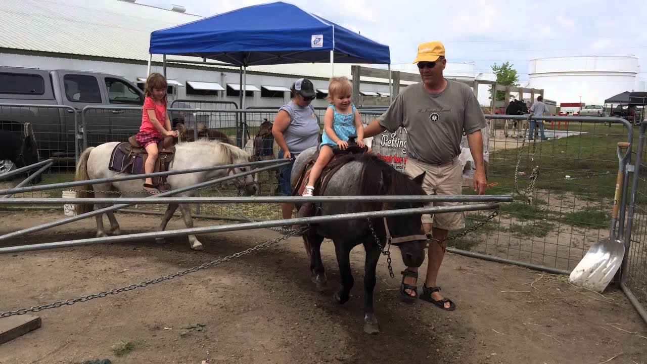 Country Fair Horse Ride - YouTube