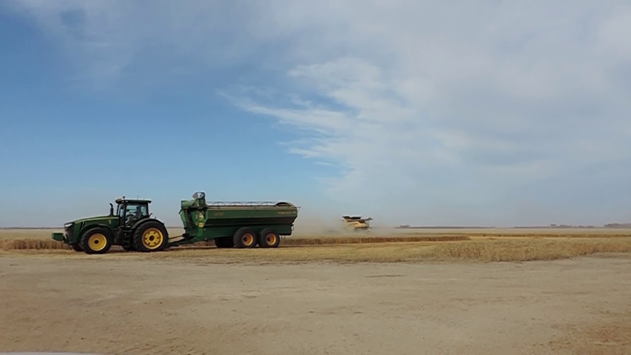 🚜. Harvesting the grain at Scadden, in the Esperance region. - YouTube