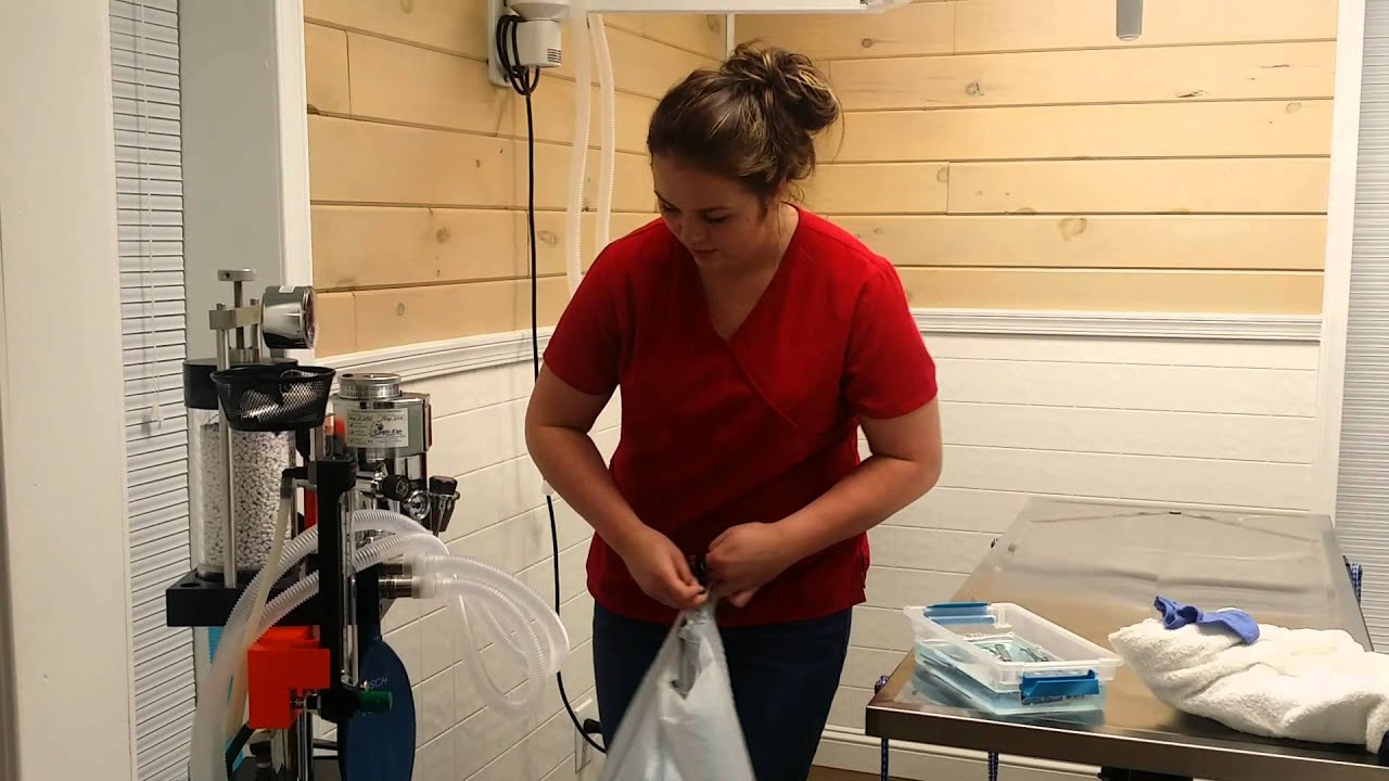 Operating room sanitation and care VET 110 - YouTube