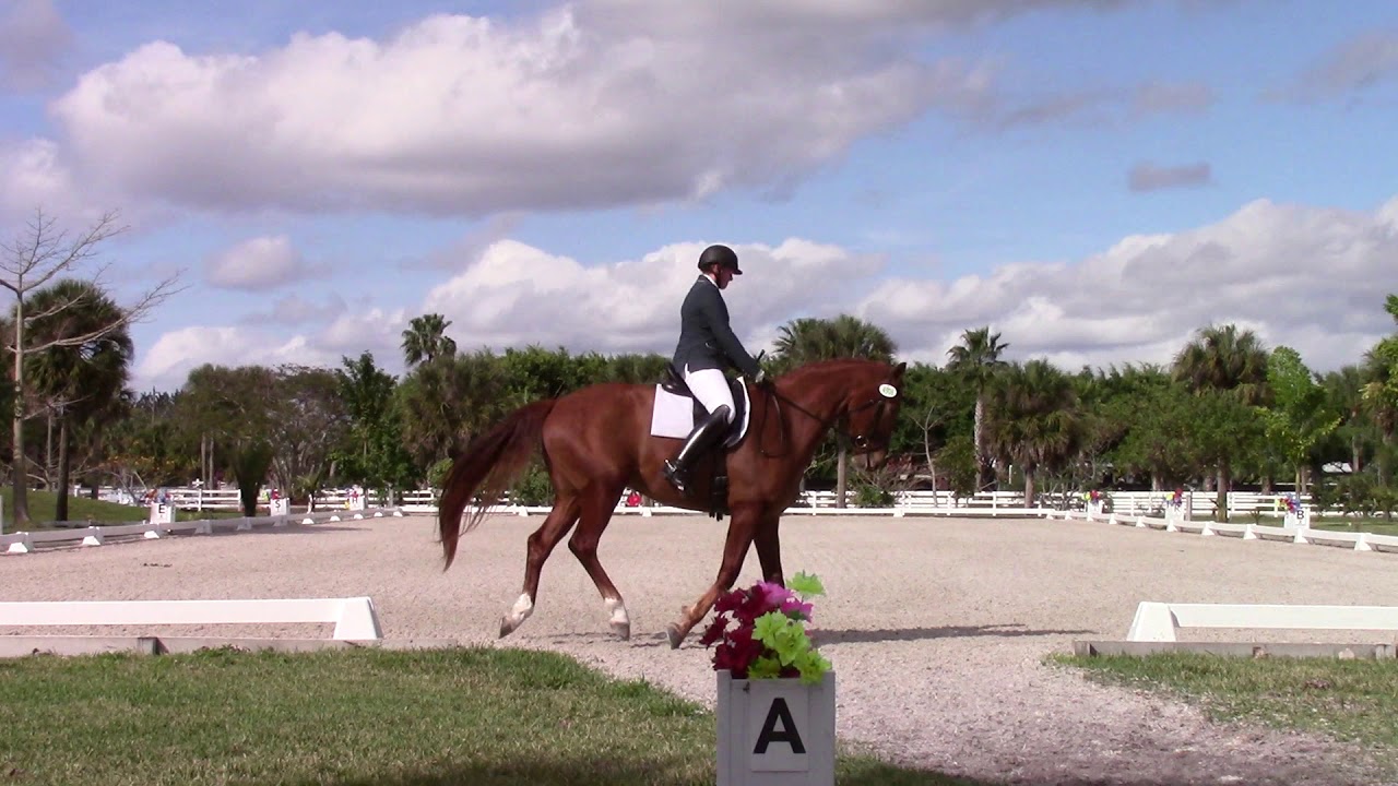 Lloyd 4 Year Old Test Feb 23 2020 YouTube lloyd-4-year-old-test-feb-23-2020-youtube