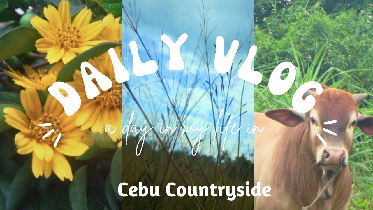 What it's Like Living in Philippines, Province of Cebu #countryside ...