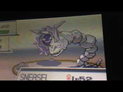 Omg Onix and Cloyster battle - YouTube