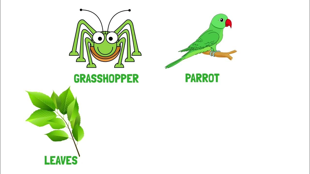 Green Color Song - Colors Song - Learn Colors, Teach Colors, Baby ...