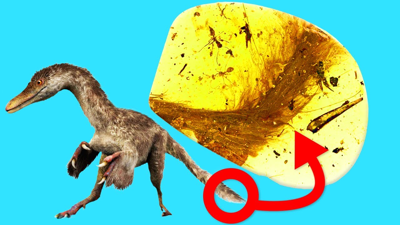 Amazing Discoveries Found Preserved - YouTube