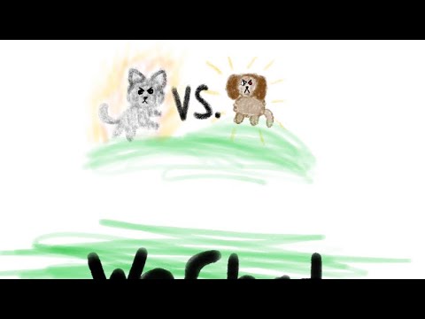Cats vs. dogs…on WeChat? - YouTube
