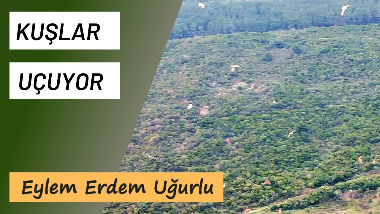 Eylem Erdem Uğurlu - Kuşlar Uçuyor (Lyric Video) - YouTube