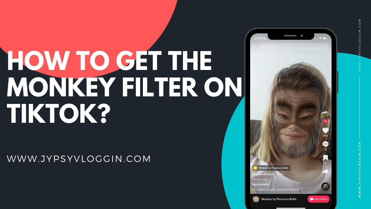 How to get the Monkey filter on TikTok - YouTube