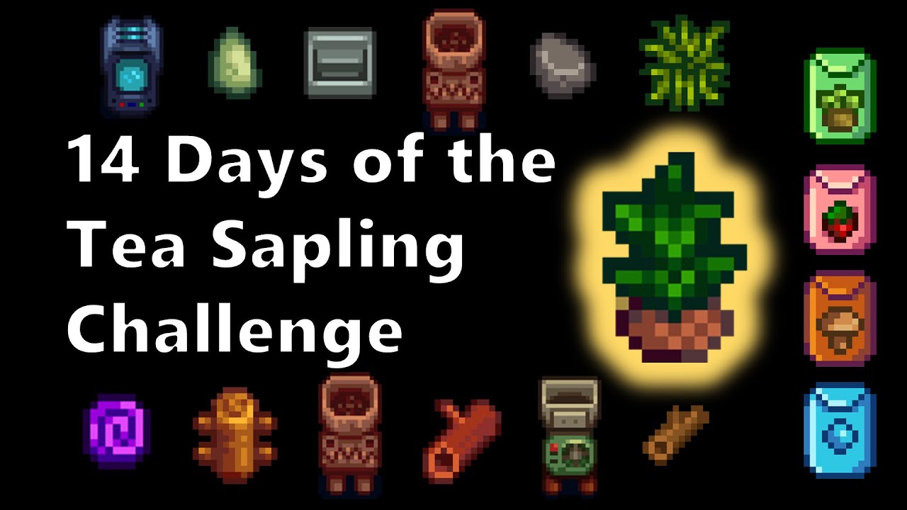 Two Weeks of the Tea Sapling Billionaire Challenge - YouTube