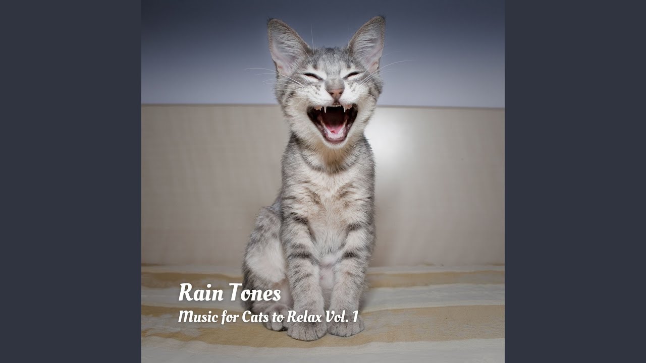 Dreamscape Rain - YouTube