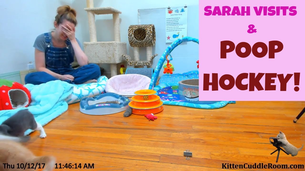 Foster mom Sarah morning visit & some petrified POOP HOCKEY at 31:50 10 ...