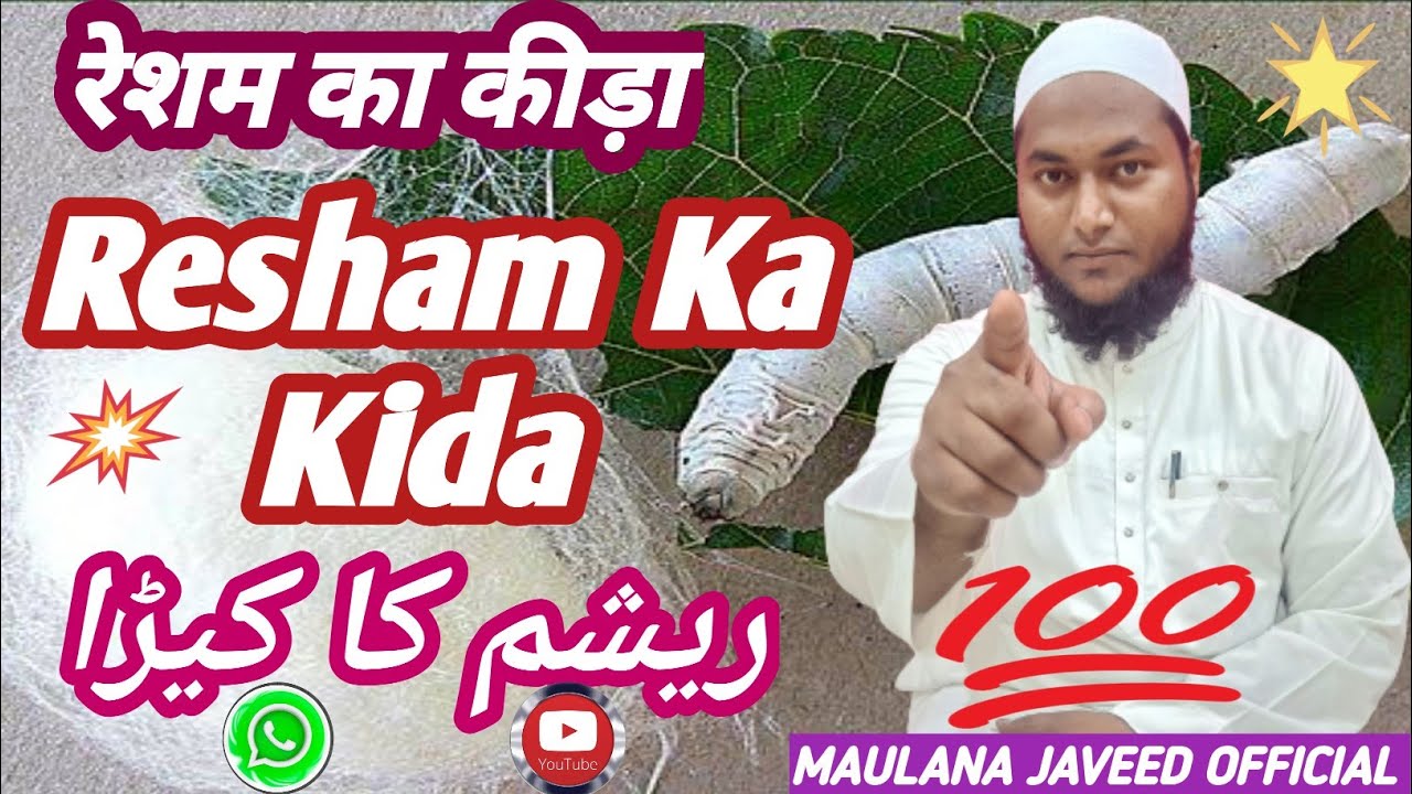 Resham Ka Kida @maulanajaveedofficial #islamicvideo #raibag #rasham # ...