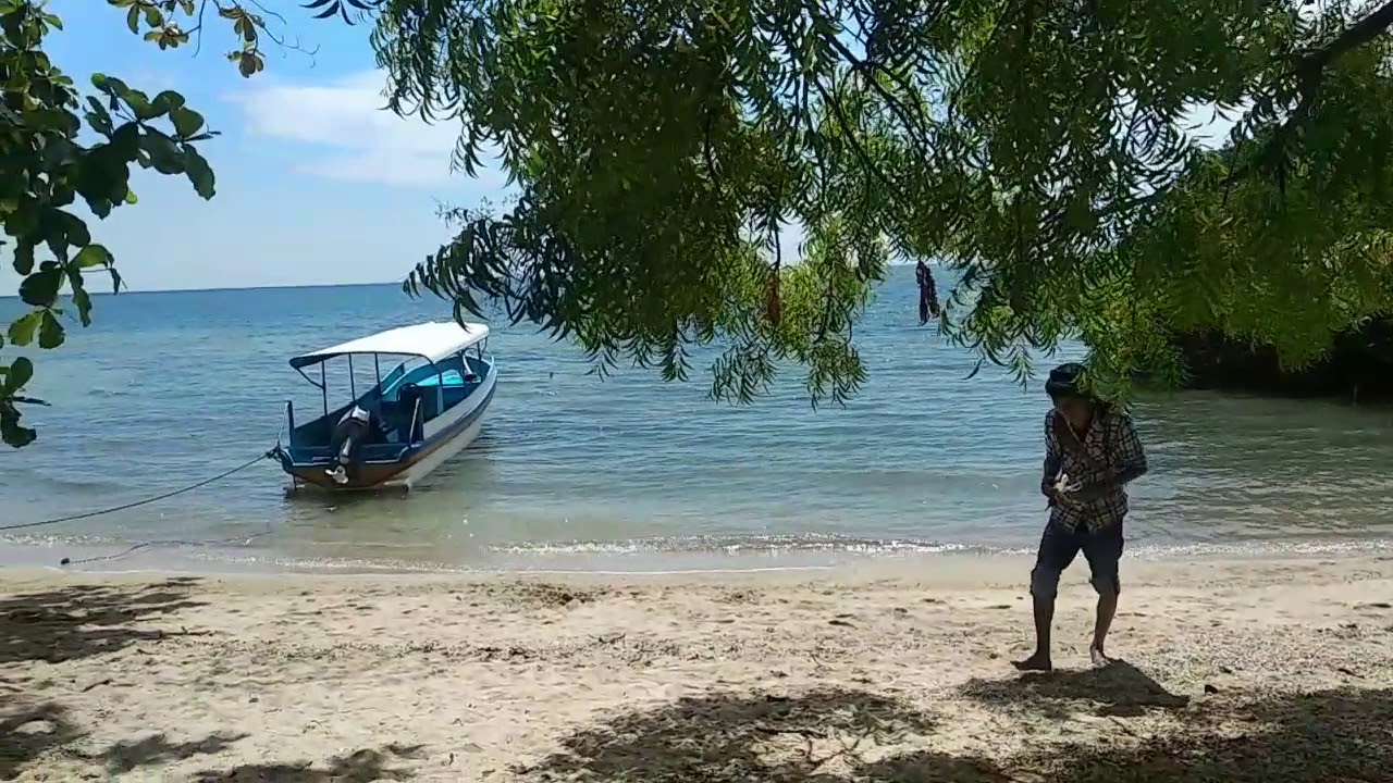 Pantai Bama Baluran Banyuwangi - YouTube