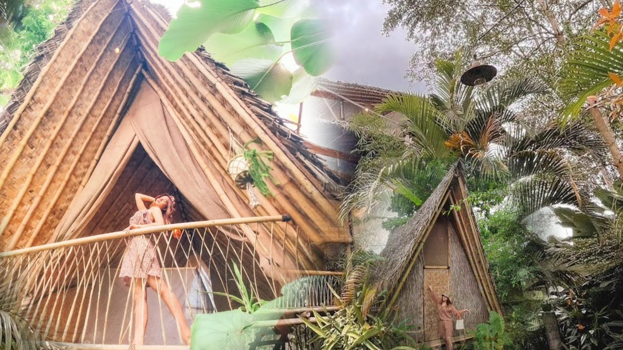 BAMBOO & B banyuwangi | rekomandasi homestay untuk pecinta alam💃😍 - YouTube