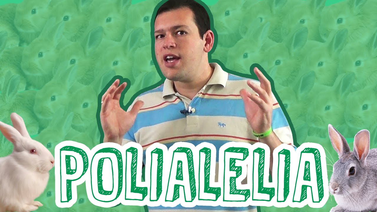 Aula Biologia - Genética - Polialelia ou Alelos Múltiplos para o Enem e ...