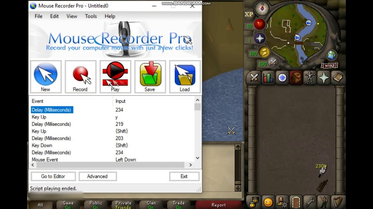 7. The Fishing Project - Private Scripts OSRS F2P SKILLING AUTO DROPPER ...