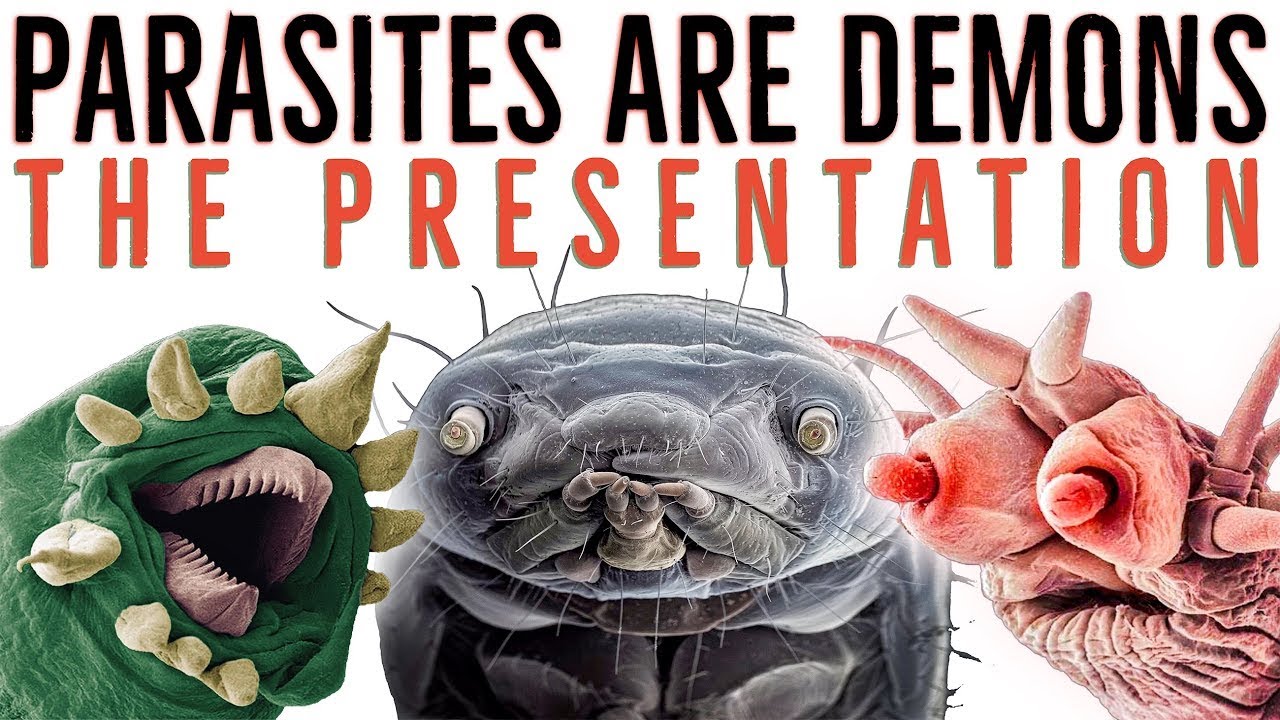 The Demonic Parasite Presentation - YouTube