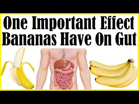 One Important Effect Bananas Have On The Gut!