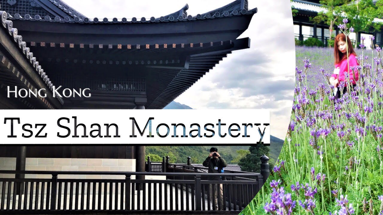 TSZ SHAN Monastery HK - How to get there? - YouTube