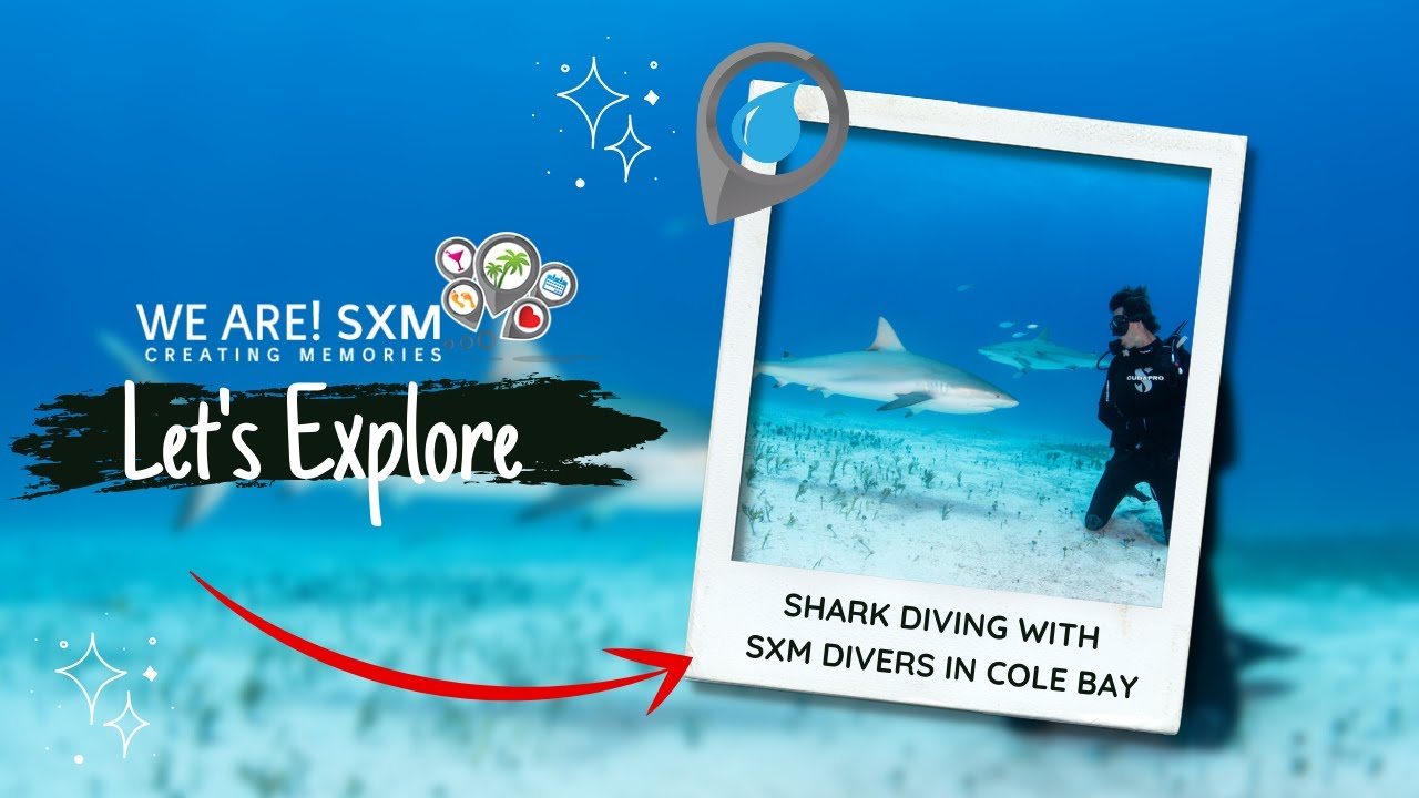 Diving in Sint Maarten - Saint Martin: Sharks, Turtles, Snappers ...