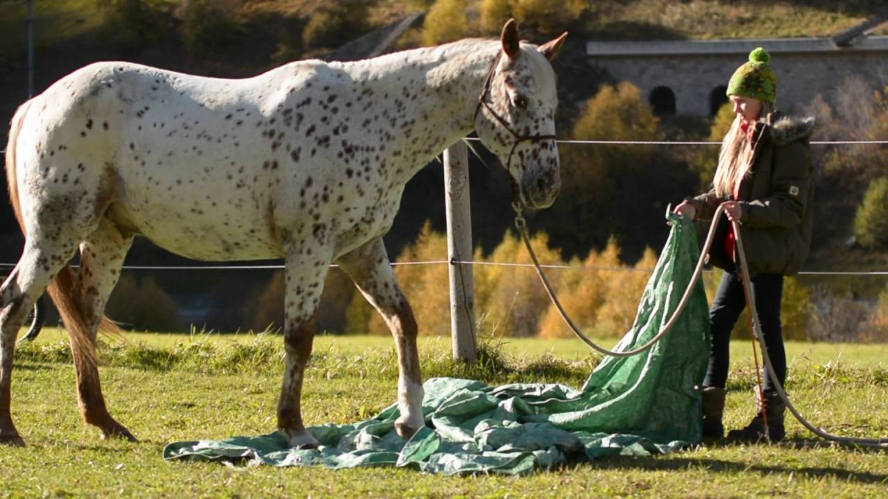 Natural Kids Camp Herbst 2016 mit Sarah Brummer - YouTube