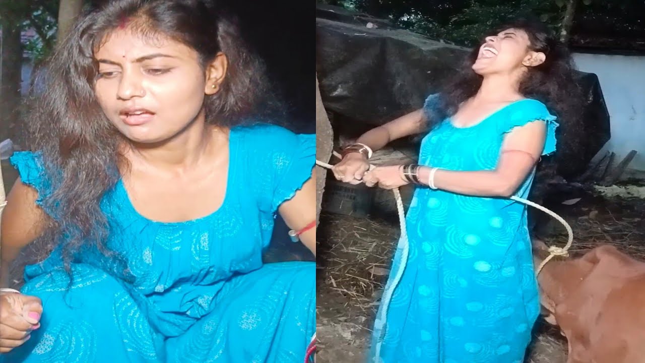 দুধ দুইতে গিয়ে লক্ষী বর্ণার পে.ছনে গোঁ.তা দিল🥴🤭 ||Raju and Barna Vlogs - YouTube