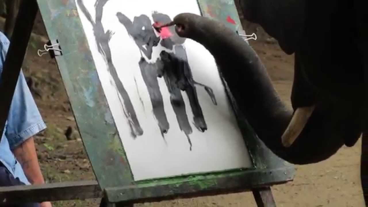 Elefante pintando en Tailandia parte 2 - YouTube