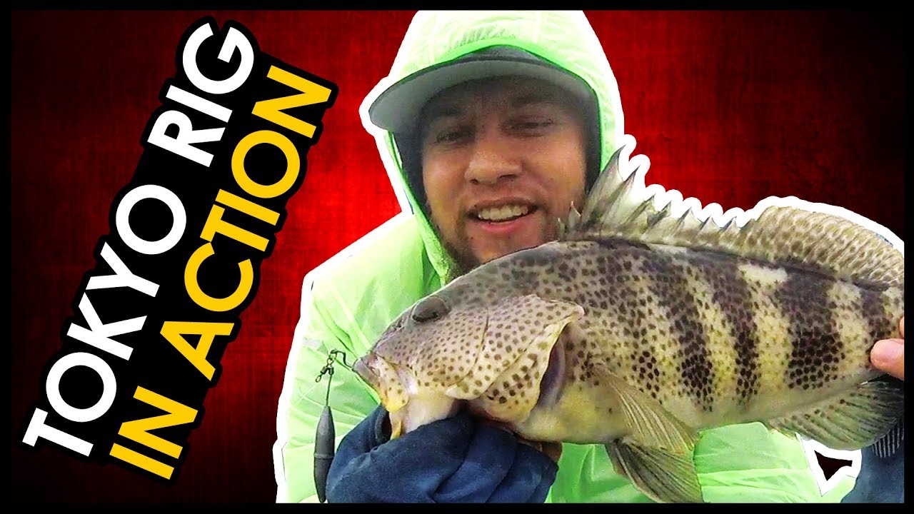 Tokyo Rig In Action - YouTube