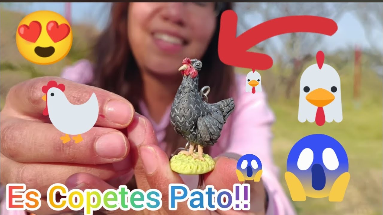 Me regalaron un llavero miniatura de COPETES PATO 😍 está idéntico a ...