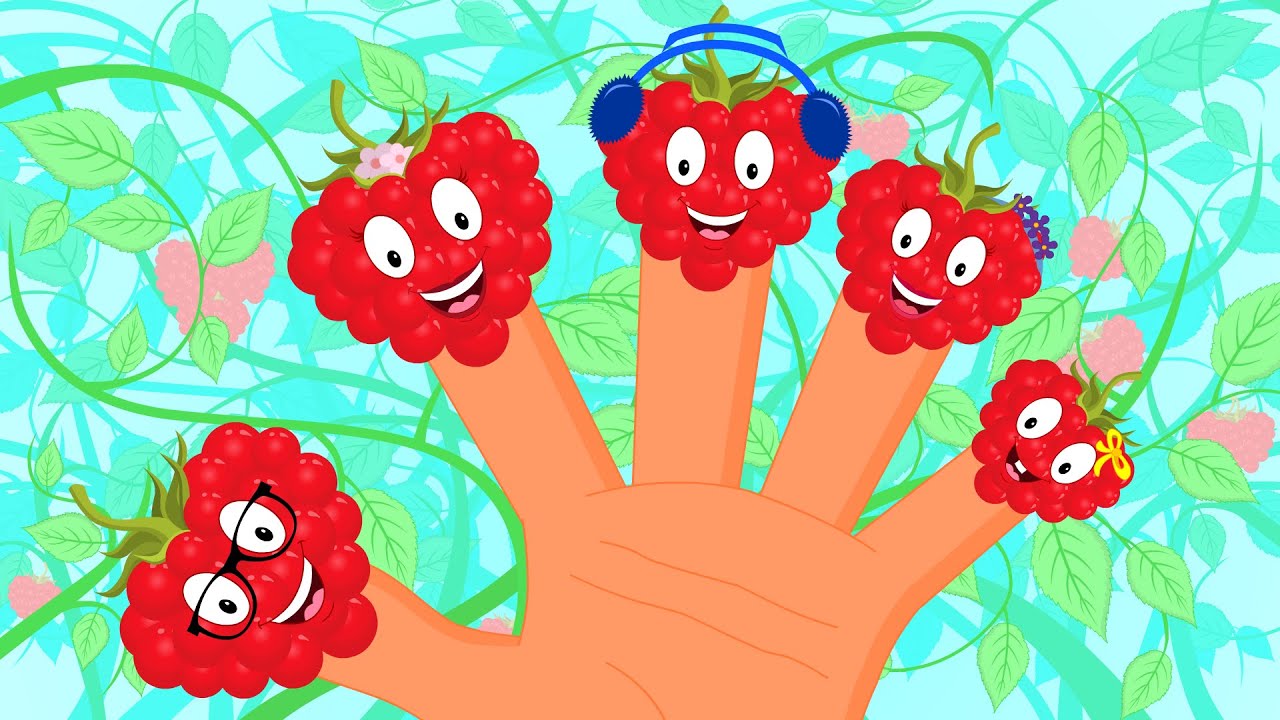 Finger Family | Raspberry Finger Family - YouTube