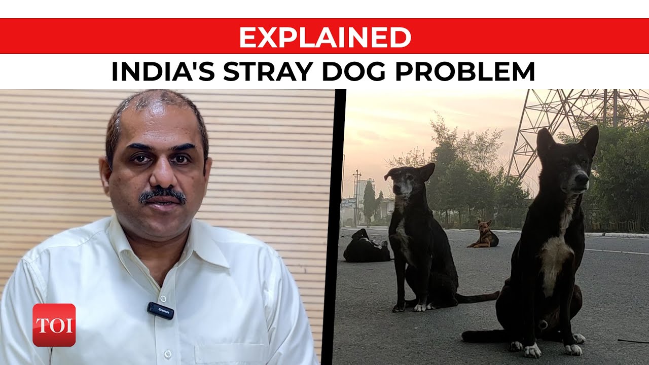 Explained: Why India must bring in a comprehensive legislation to ...