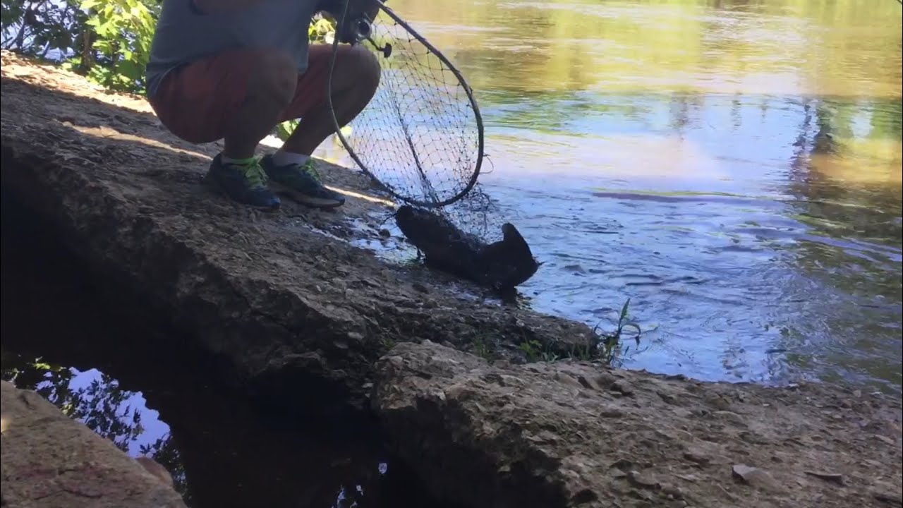 Milwaukee River Fishing at Milwaukee River Parkway Nearby Lincoln Park ...