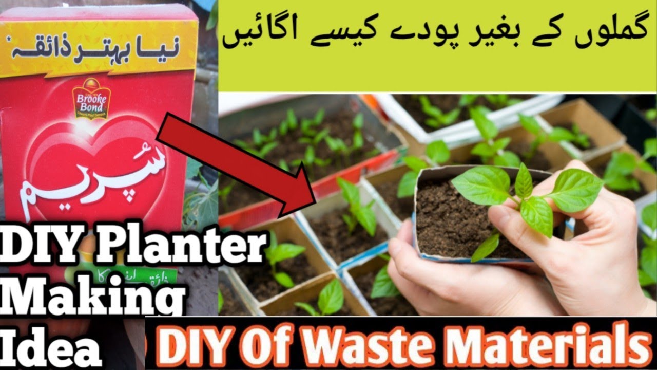 Use of Waste Material In My Garden||kabaad se jugaad /kachre se kamaal#best use of waste ...