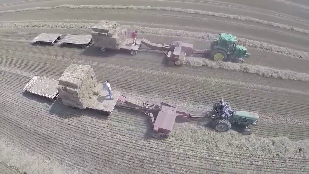 Nowoczesne Rolnictwo Europa, Kanada, USA 33 - YouTube