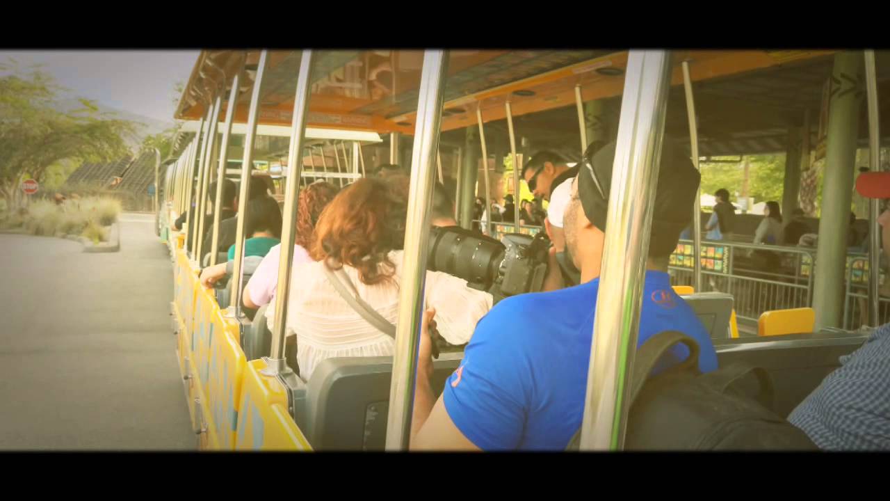 Africa Tram at San Diego Zoo Safari Park - YouTube