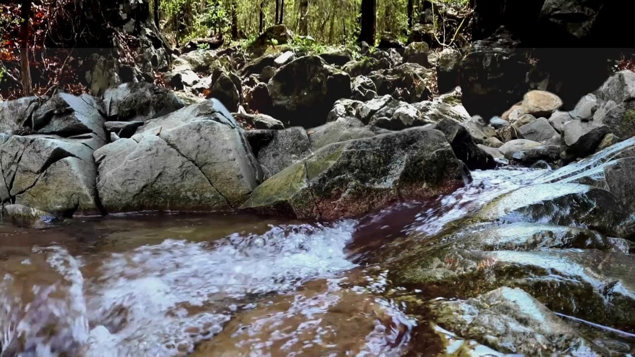 BEAUTIFUL BABBLING BROOK, TRICKLING WATER, SOOTHING BIRD SOUNDS IN ...