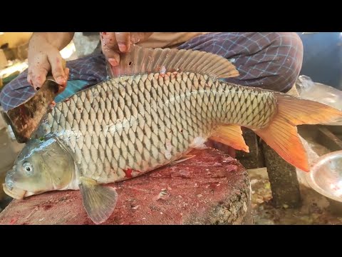 Amazing Cutting Skills | Big Golden Carp Fish Cutting Live in BD Fish ...
