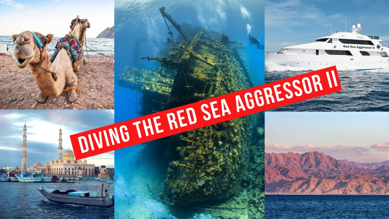 Diving the Red Sea Aggressor II - YouTube