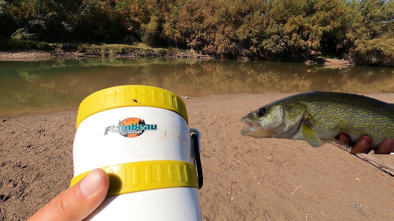 These on-the-Go Worm Coolers are Awesome - YouTube