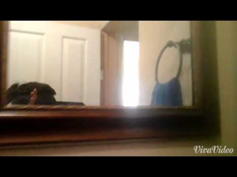 ¡MI PRIMO EN CALZONES!