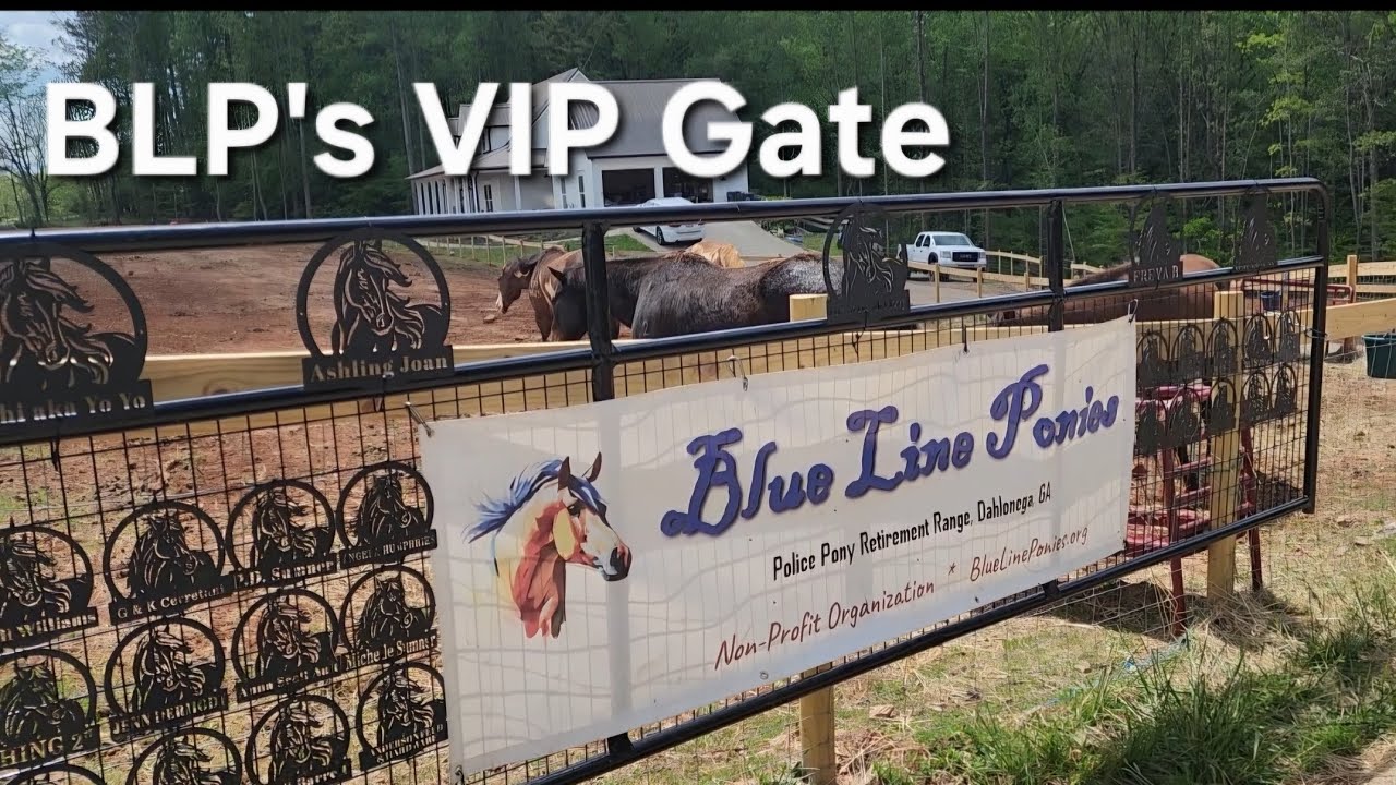 Want to be on our VIP Gate? - YouTube