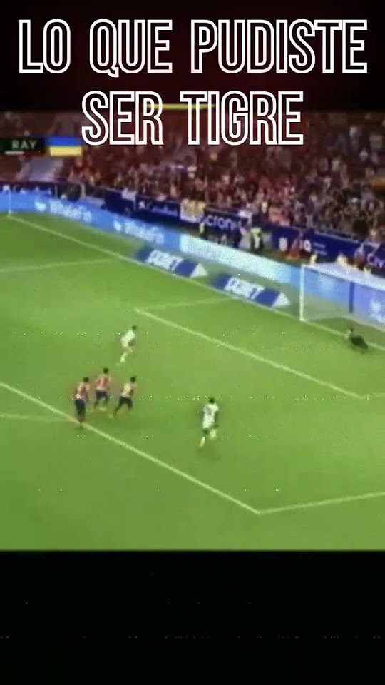 El Tigre Falcao Lo Que Pudiste Ser Viral Shorts Youtube