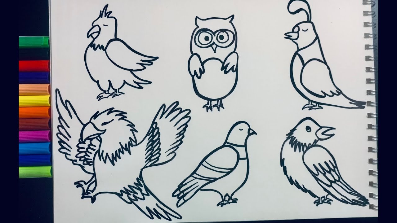 Birds Drawing For Kids With Name