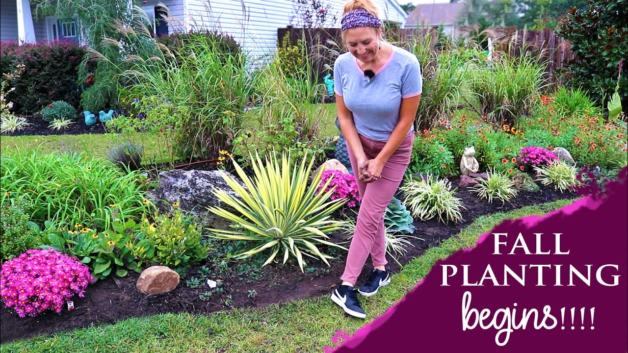 Fall Garden Planting Begins! Mums, Decorative Cabbage & Stunning Fall ...