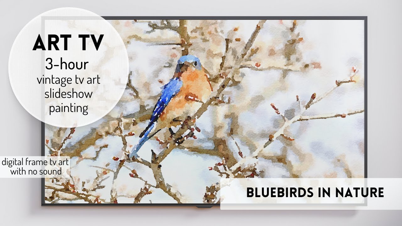 Bluebirds in Nature Landscapes TV ART Vintage Art TV Slideshow ...