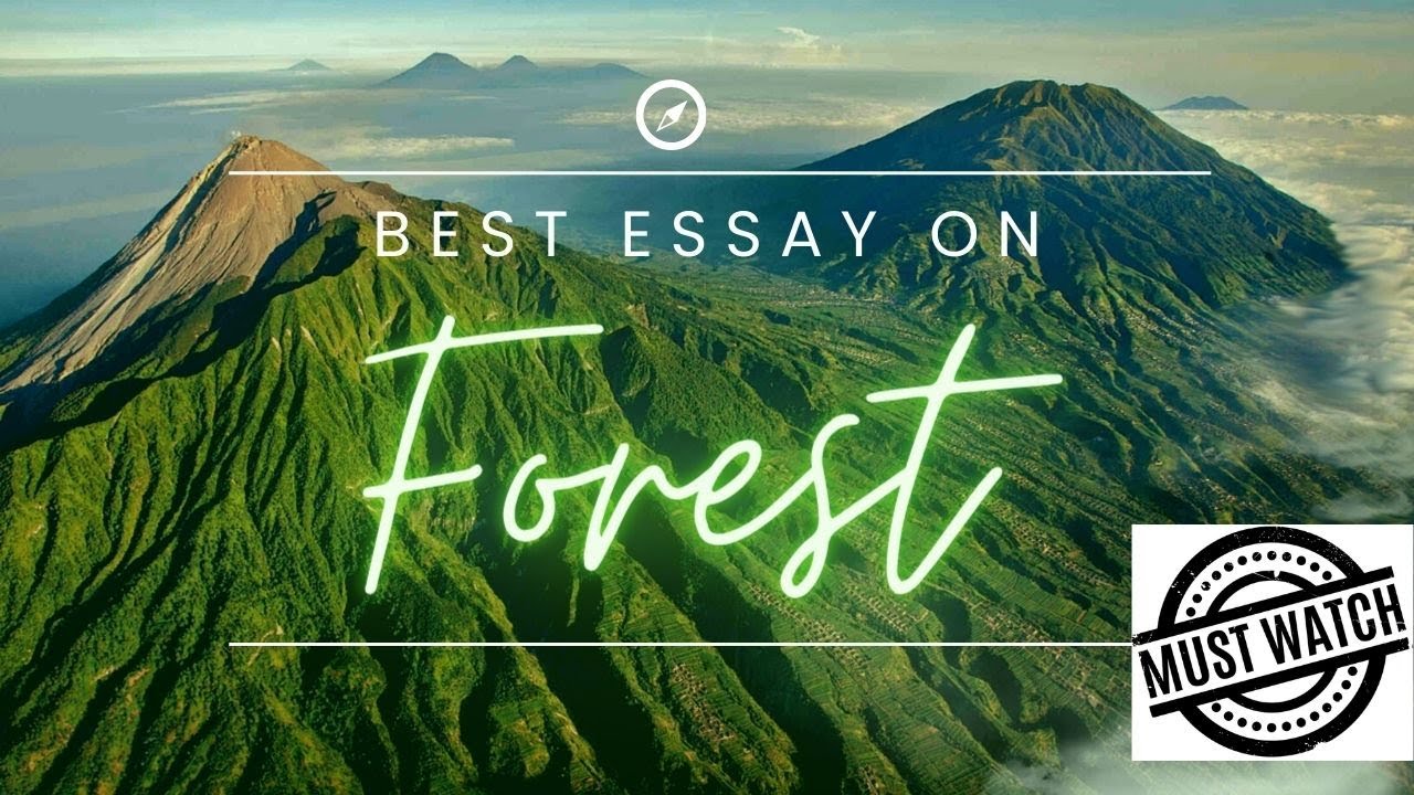 Essay on "FOREST" | Creative Writing | B-yond Basics - YouTube