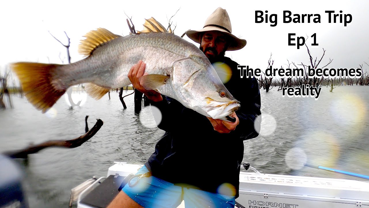 Barramundi battles- Peter Faust Dam-White knuckle barramundi fishing ...
