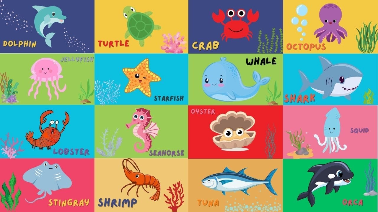 Song about ocean and sea animals | Kids TV Education - YouTube